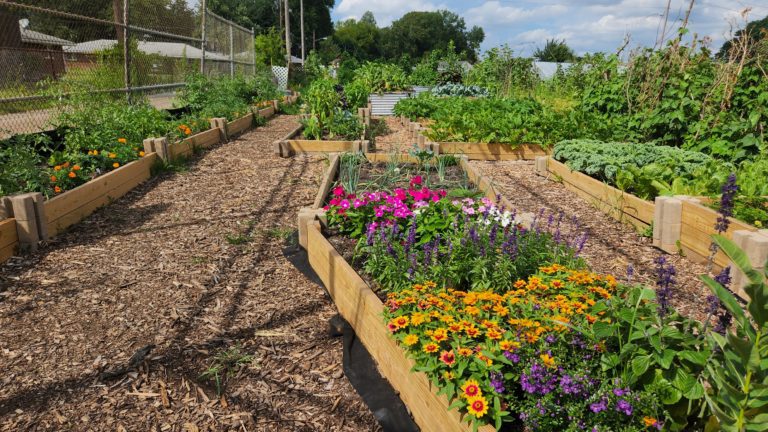 Akron Coop Farms – Growing Together