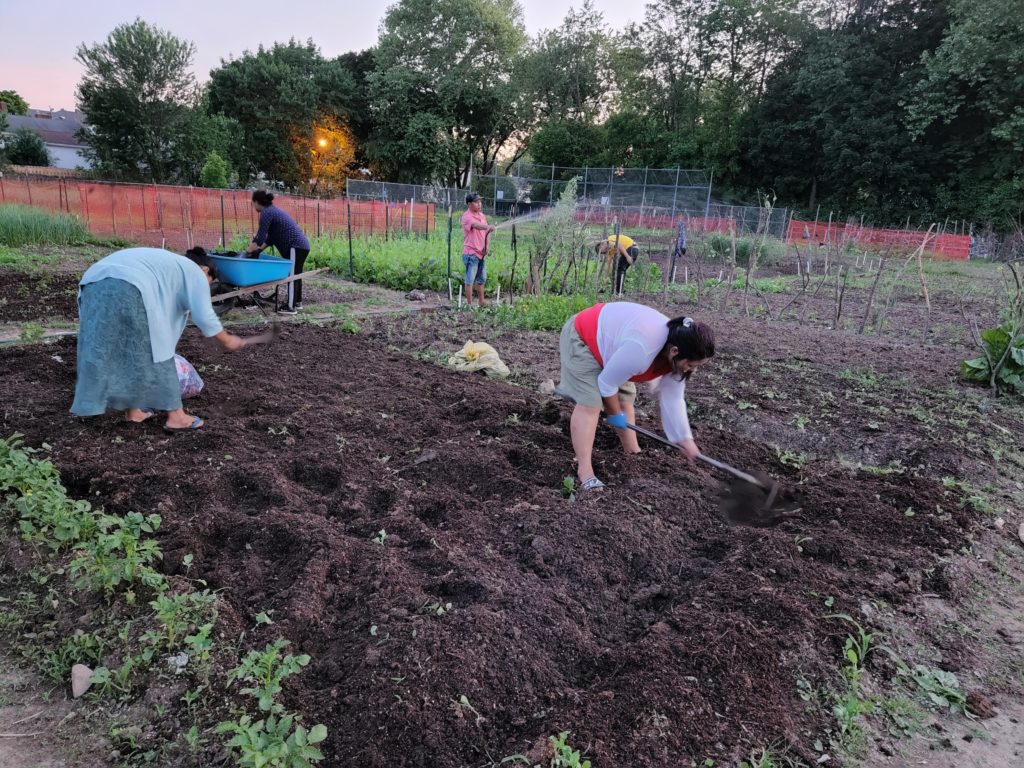 Akron Coop Farms – Growing Together