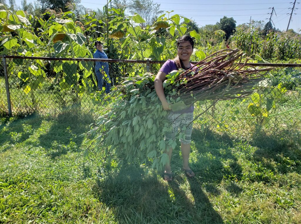 Akron Cooperative Farms Receives $25,000 “A Community Thrives” Grant ...